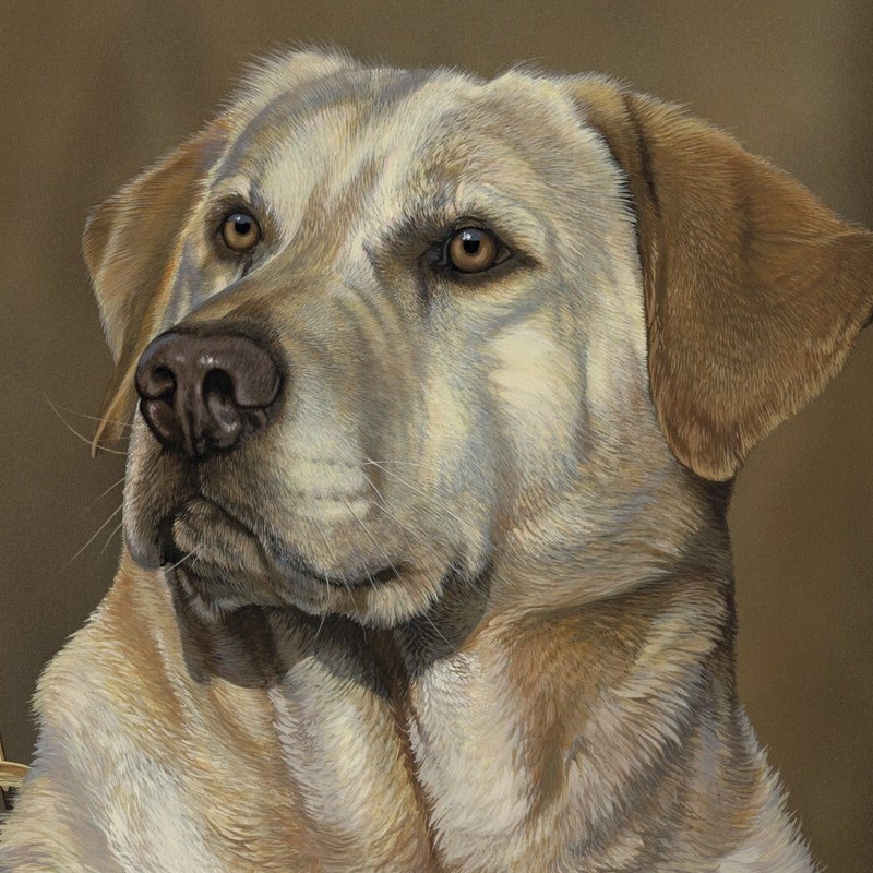 StartingStitches - Etsy