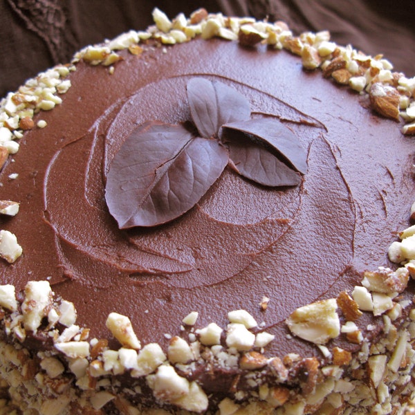 Chocolate Cake Recipe - Etsy