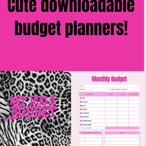 Hot Girl Budget Tracking - Etsy