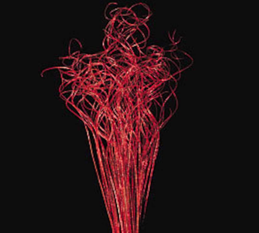 Glittered Ting Ting Decoration - Etsy