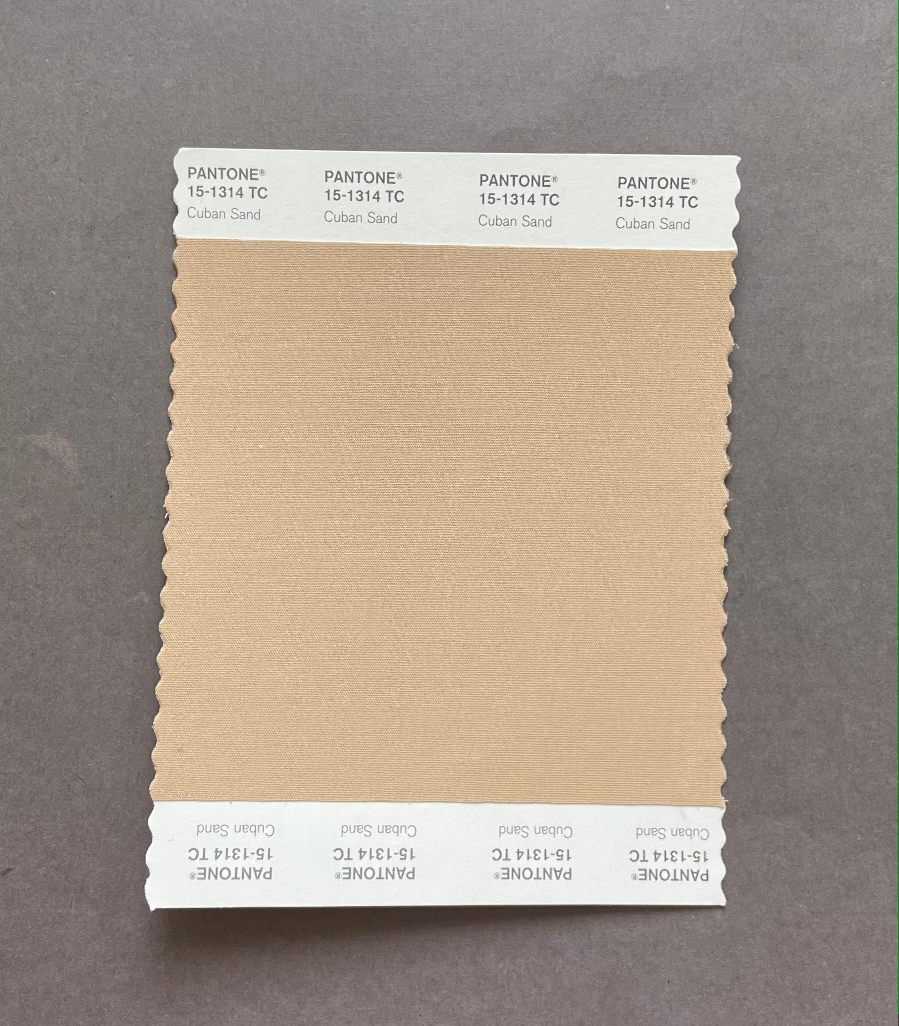 Pantone Sand