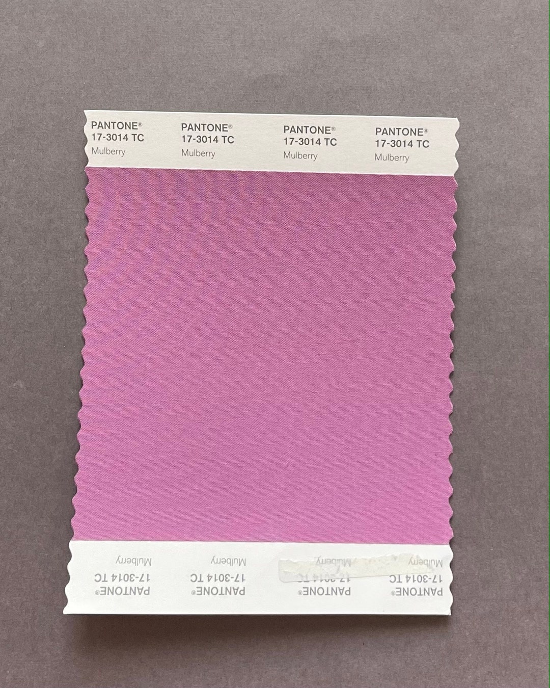 Pantone 4x4 Textile Swatch - Mulberry - Etsy