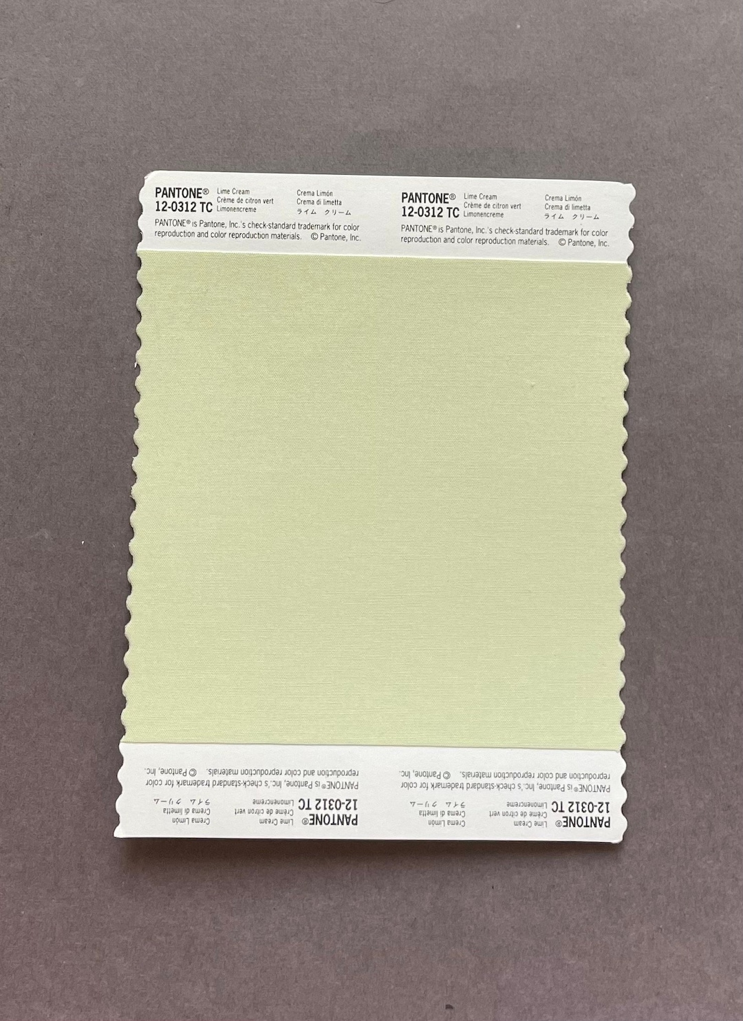 Pantone 4x4 Textile Swatch - Lime Cream - Etsy