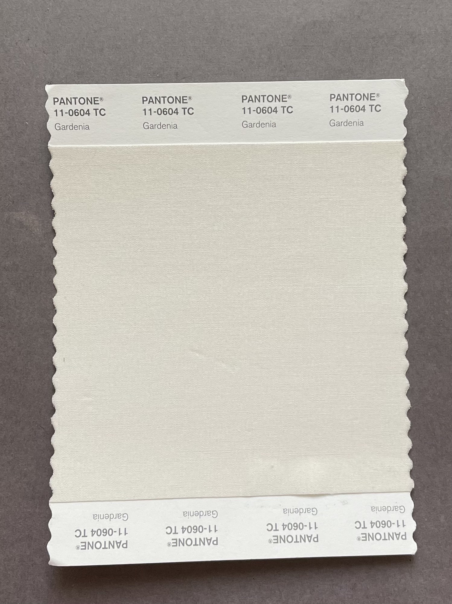Pantone 4x4 Textile Swatch Gardenia - Etsy