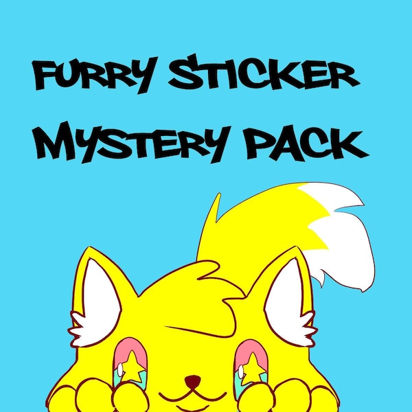 Furry Sticker Mystery Box - Etsy