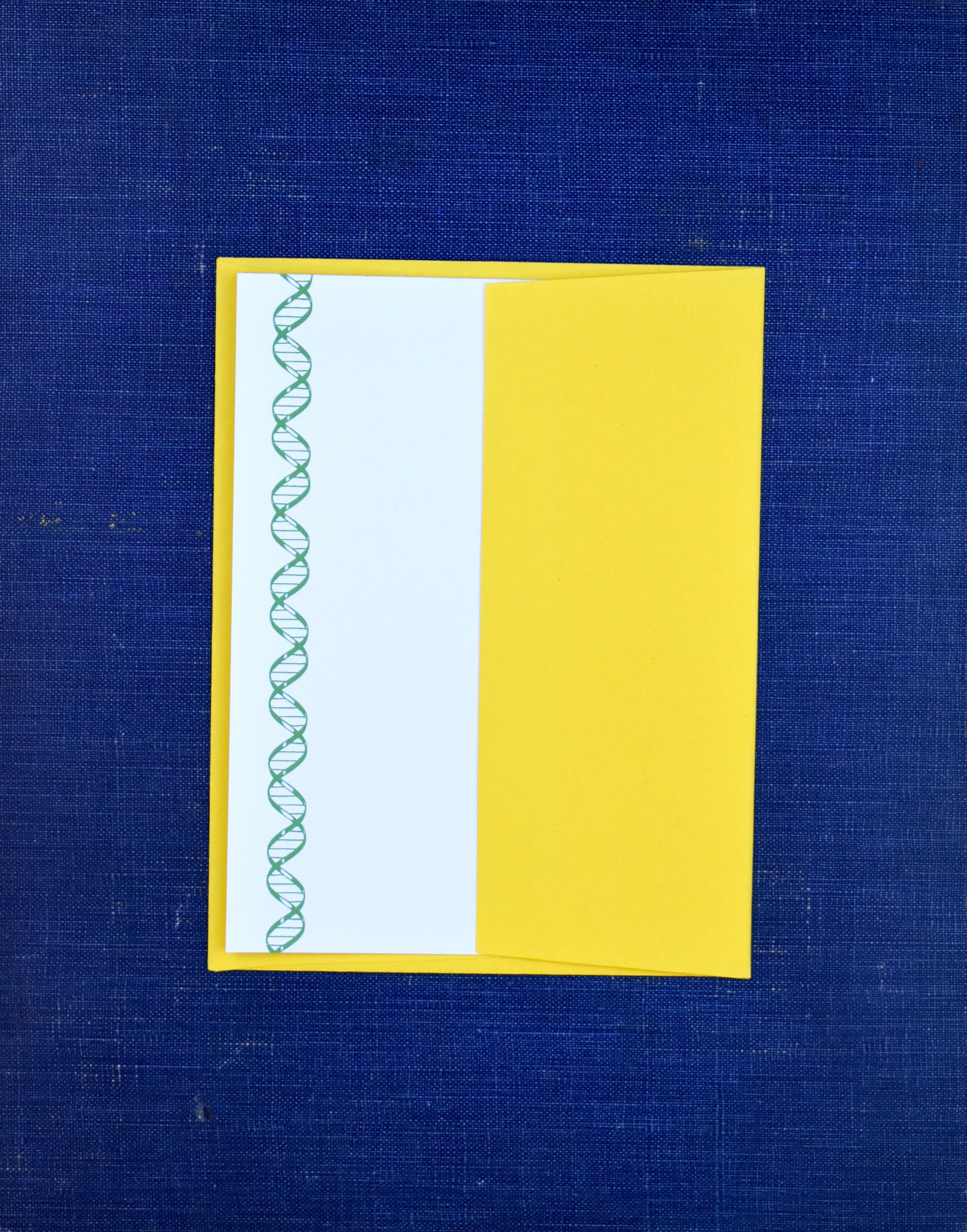 DNA Note Card 10 Pack Genetics and Molecular Biology Gifts - Etsy