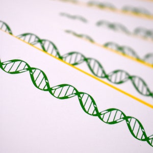 DNA Note Card 10 Pack Genetics and Molecular Biology Gifts - Etsy