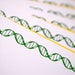 DNA Note Card 10 Pack Genetics and Molecular Biology Gifts - Etsy