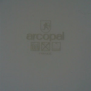 Vintage Made in France Arcopal Plates (2) - Etsy