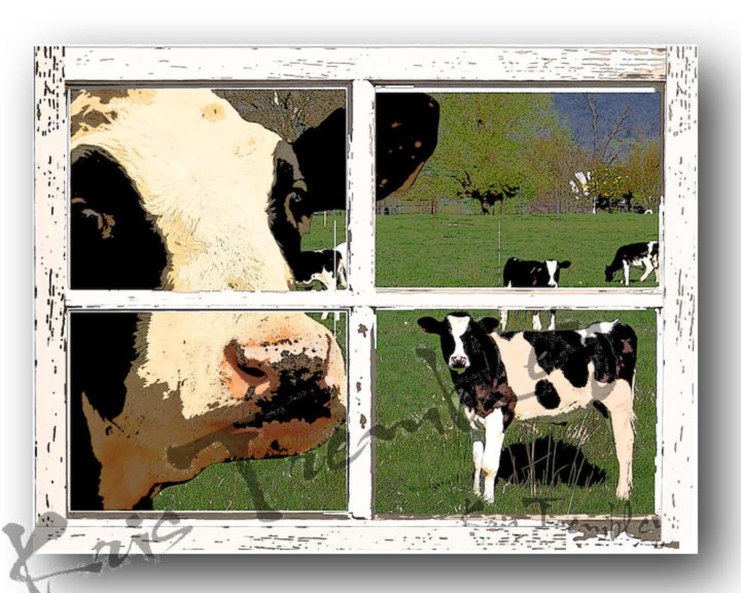 Cows Cow Holsteins at Window Farmhouse Wall Art Print Cows by - Etsy