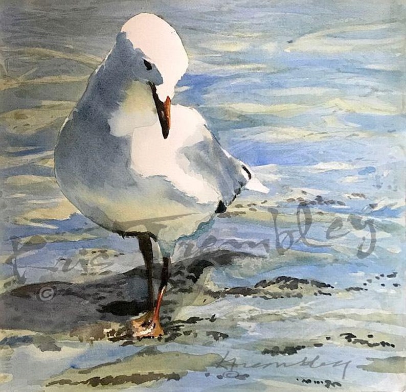 Wading Seagull Watercolor Beach Walll Art Print, Shore Bird Wading ...