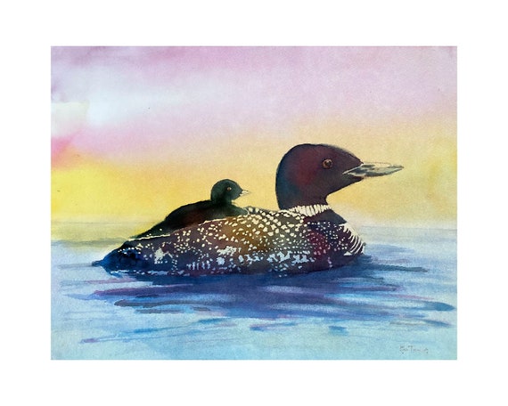 Loon Wall Art Print Loon With Baby on Its Back Fine Art Print - Etsy