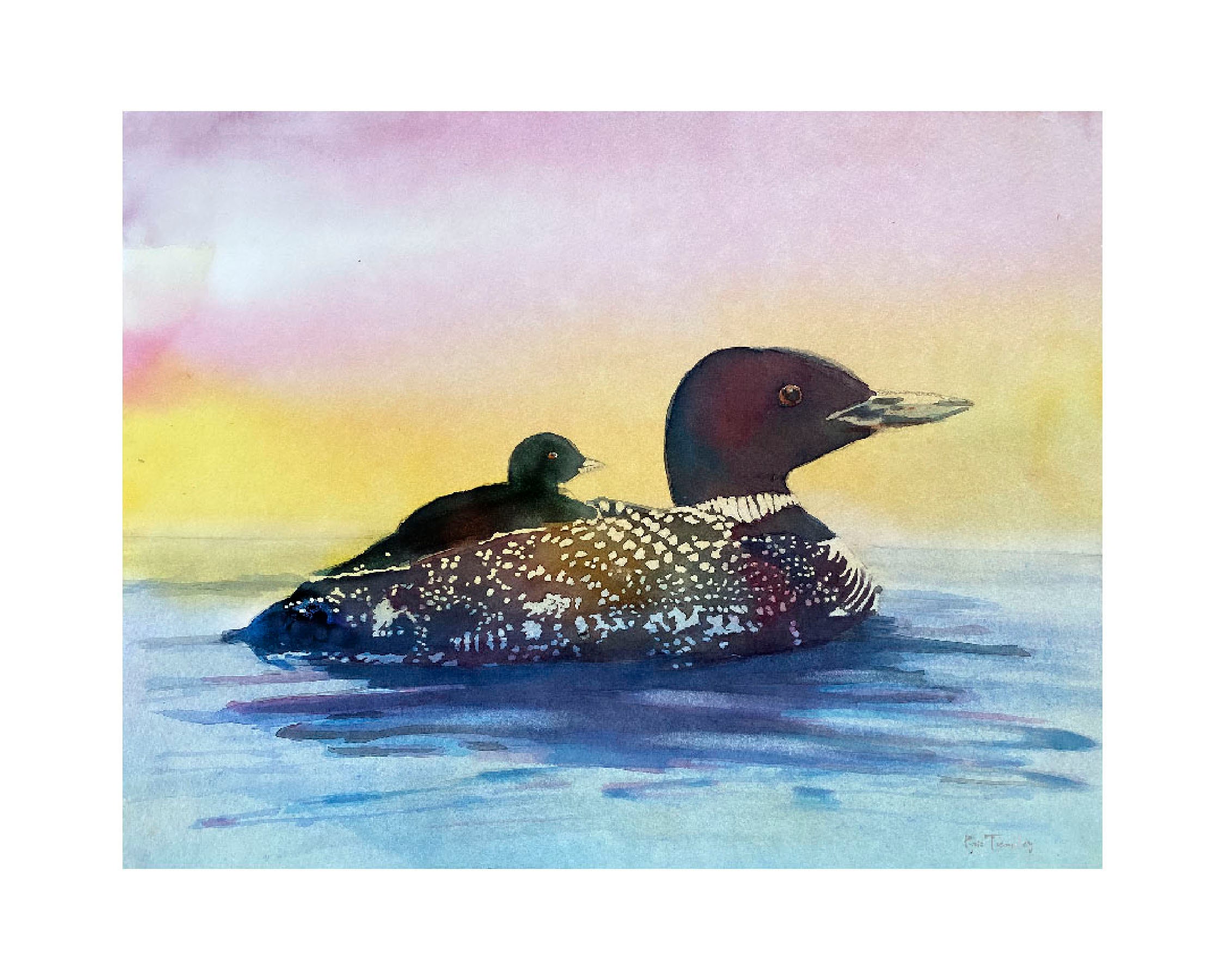 Loon Art