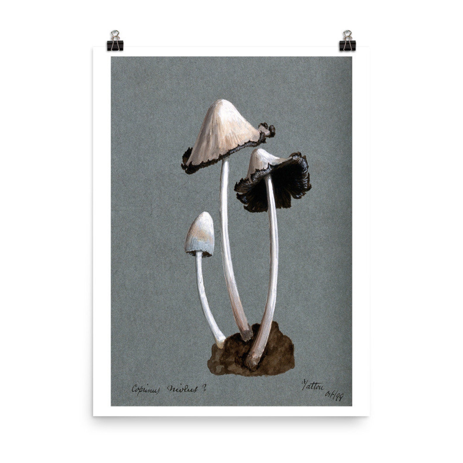 Gothic Home Decor Vintage Oddities Curiosities Oddity - Etsy