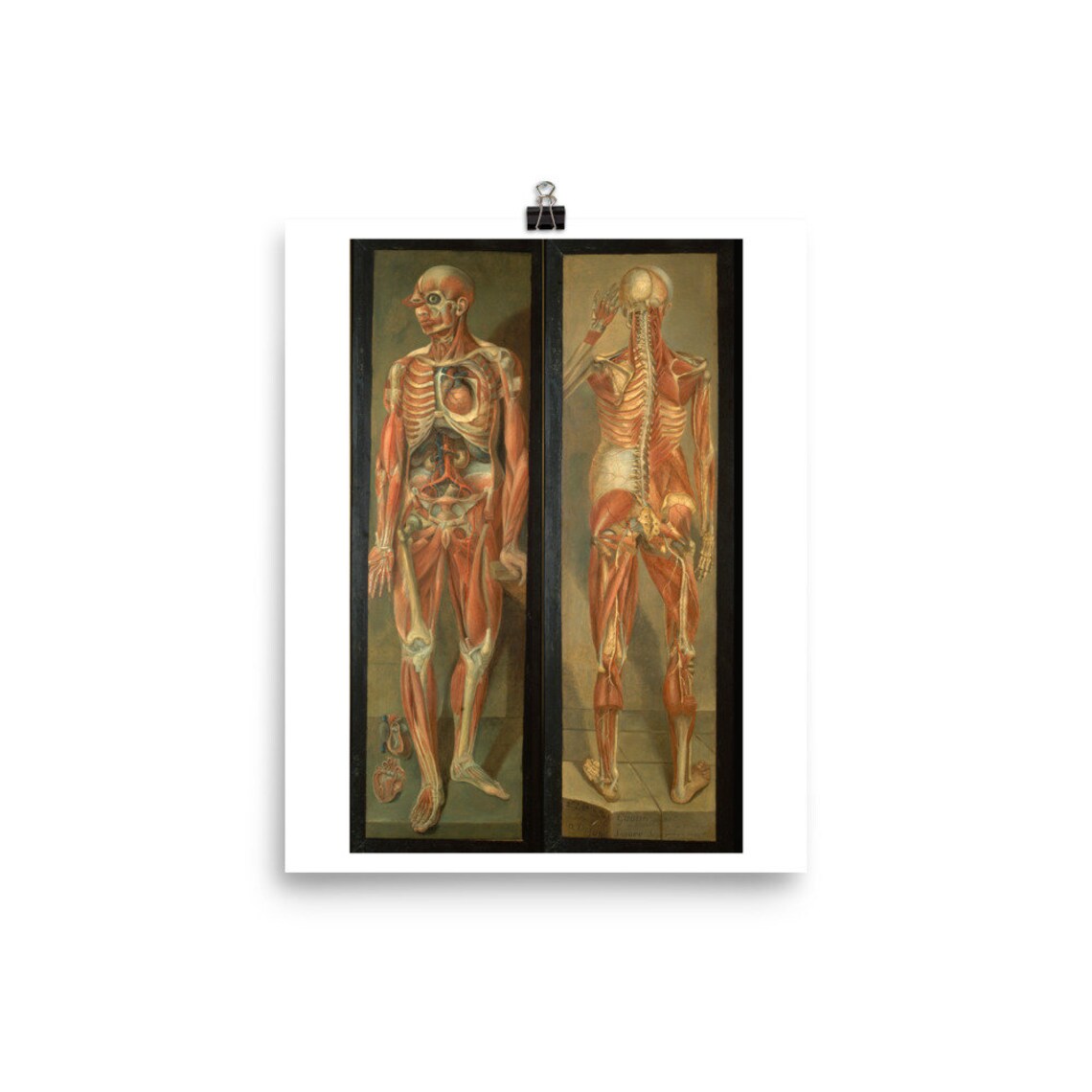 Gothic Home Decor Vintage Oddities Curiosities Oddity | Etsy