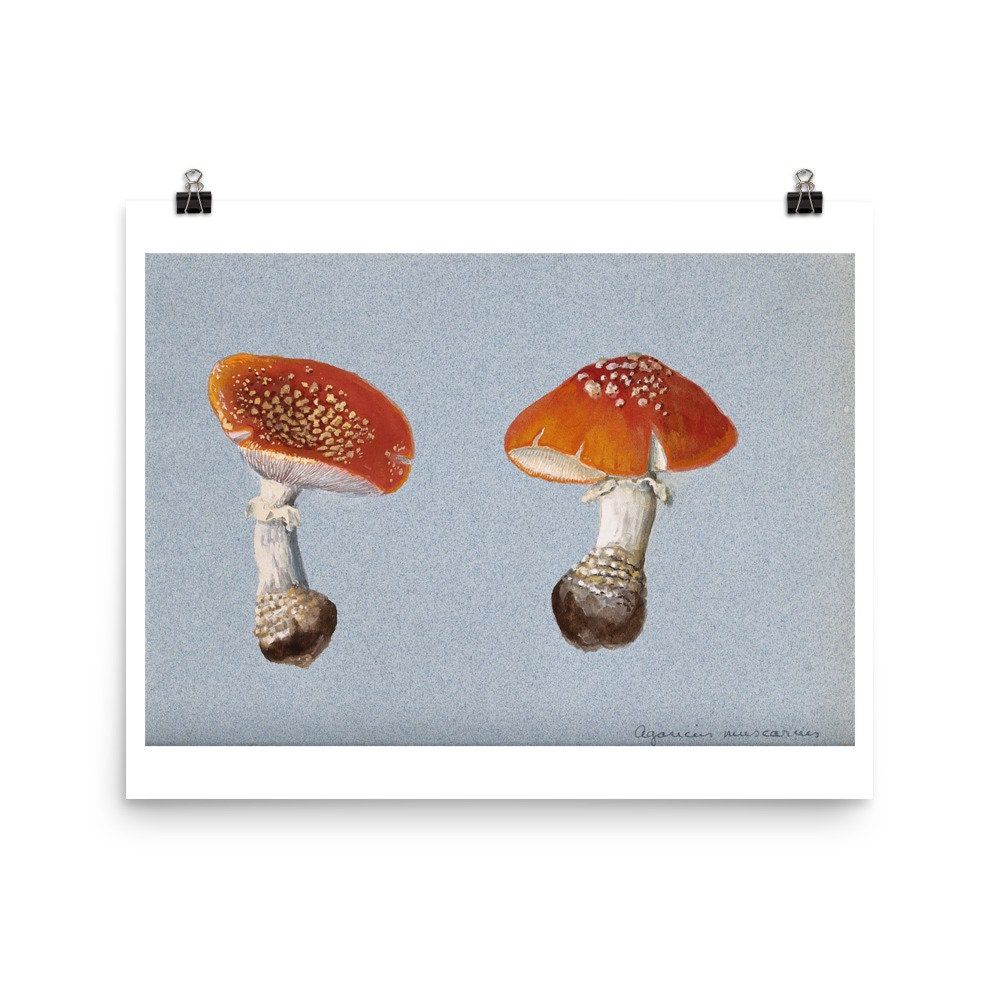 Gothic Home Decor Vintage Oddities Curiosities Oddity | Etsy