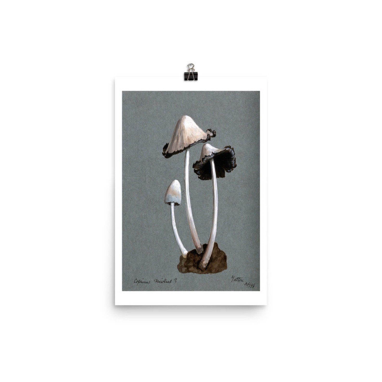 Gothic Home Decor Vintage Oddities Curiosities Oddity - Etsy