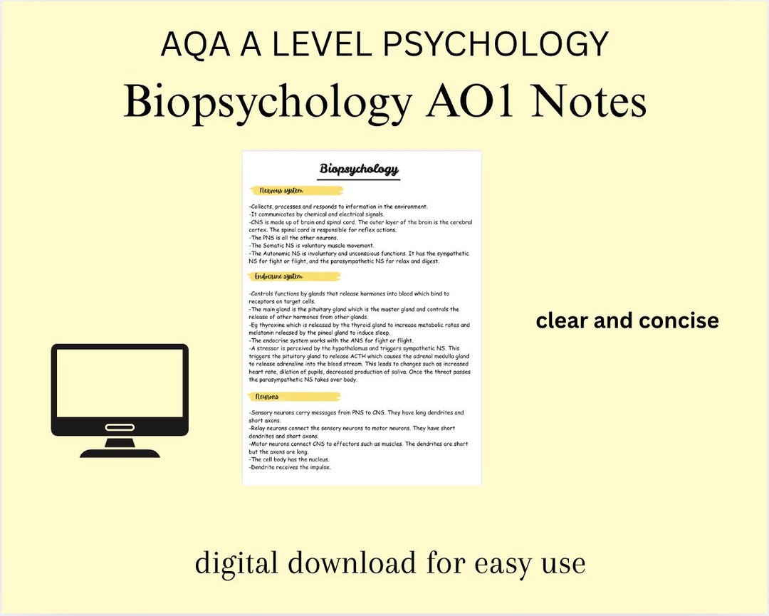 AQA A Level Psychology Biopsychology Notes - Etsy