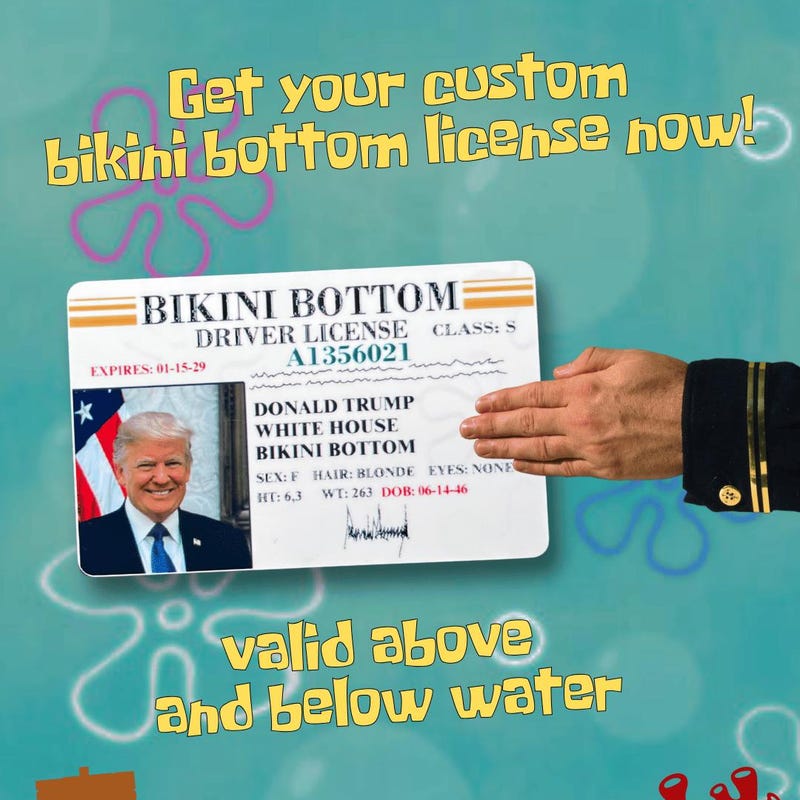 Spongebob Drivers License - Etsy