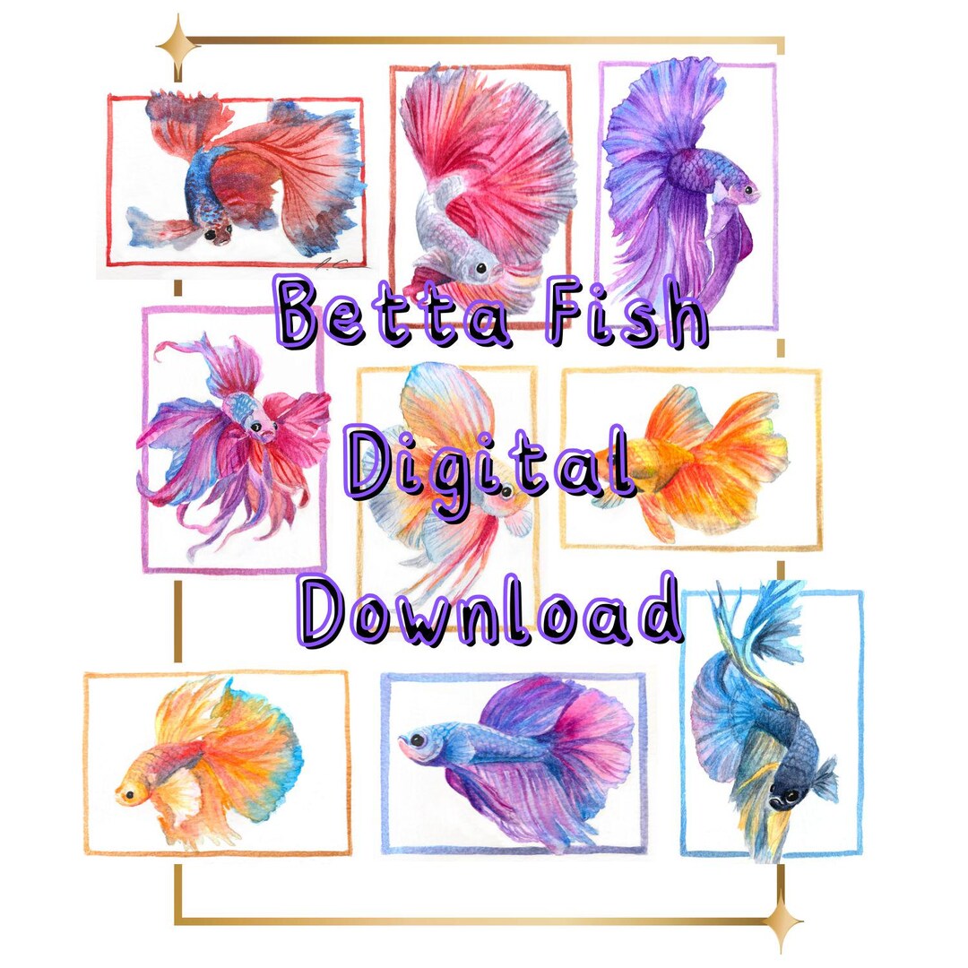 Betta Fish Wall Art 9 Colourful Watercolour Paintings Digital Download ...