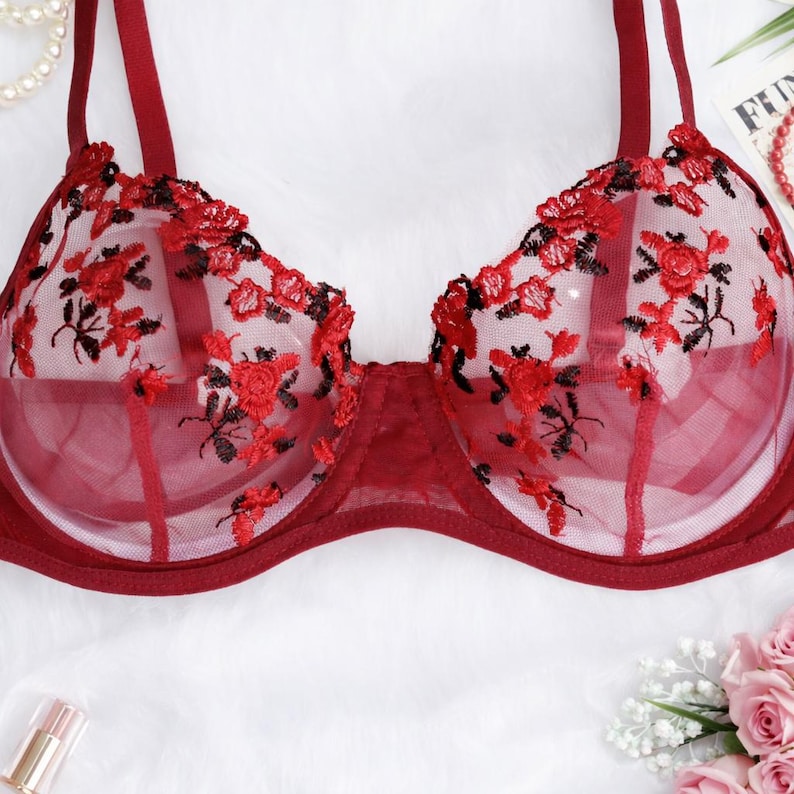 Red Lace Sheer Bra and Panty, Two Piece Women’s Lingerie, Valentine ...