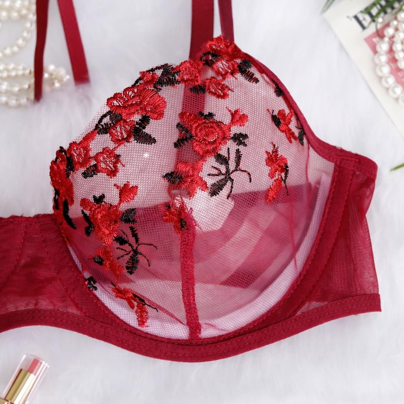 Red Lace Sheer Bra and Panty, Two Piece Women’s Lingerie, Valentine ...