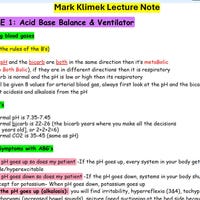 Mark K Lecture Notes — Use With Audio on Spotify! - Etsy