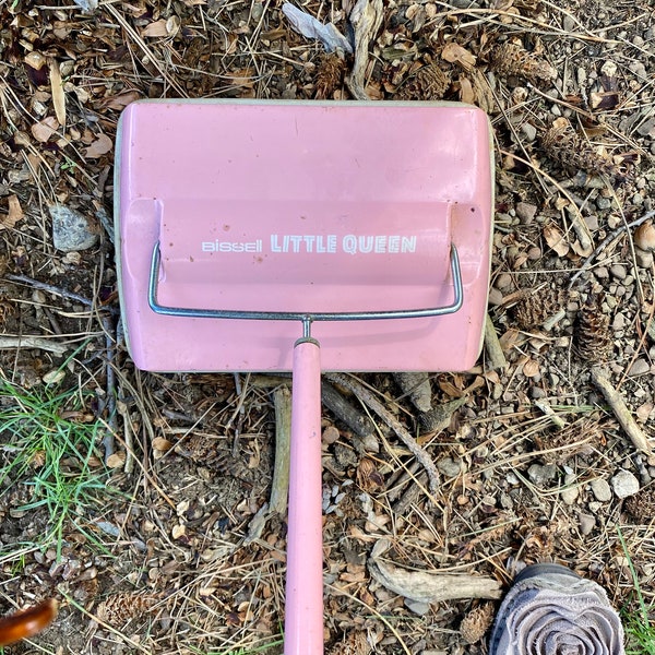 Carpet Sweeper - Etsy