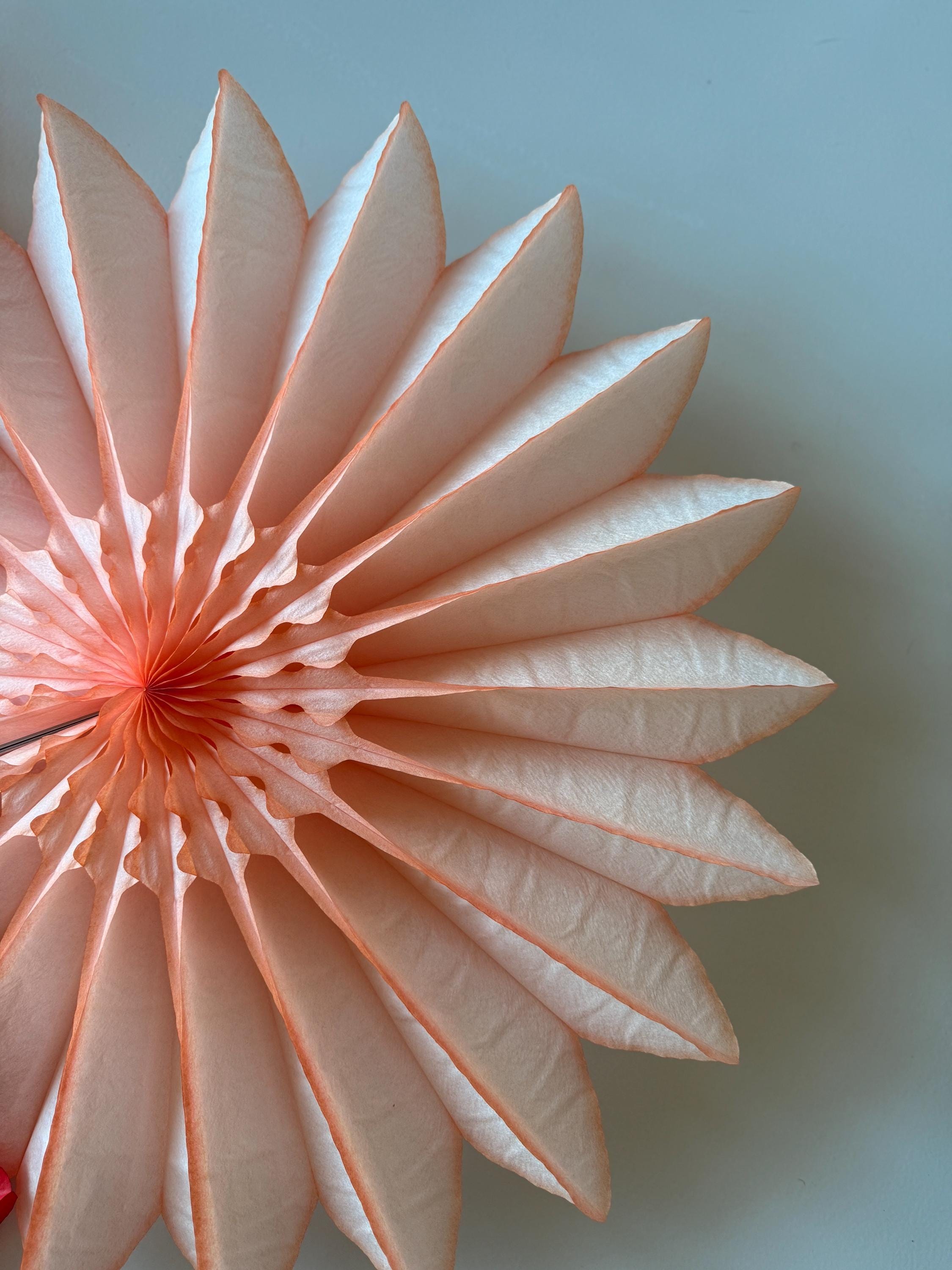 Large Paper Fans: 26