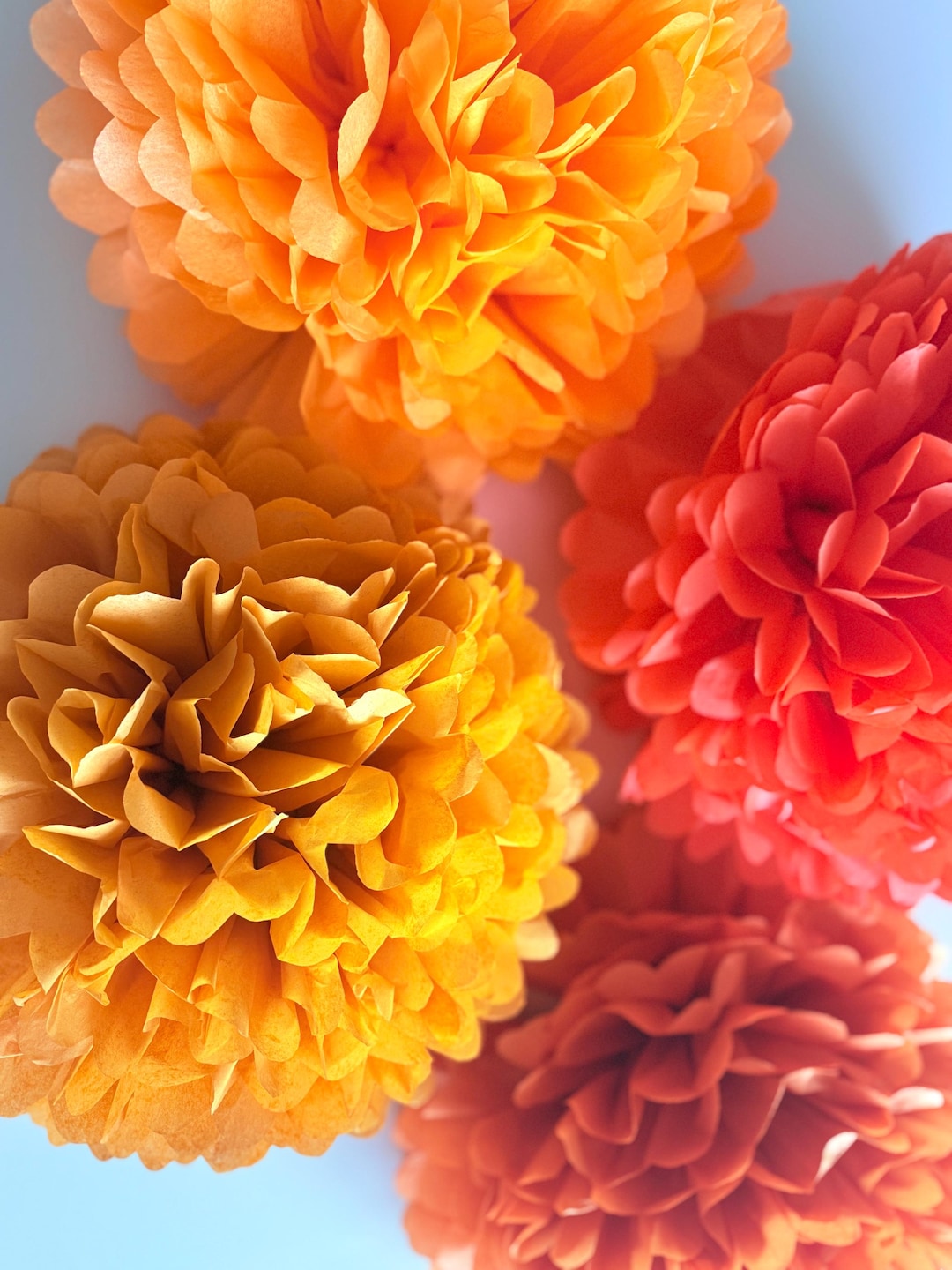 Set of 12 Large Fall Colours Paper Pom Poms - Poppy, Apricot, Burnt ...