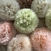 Paper Pom Pom Set of 16 | Blush, Neutral and Pale Mint Tissue Paper Pom ...