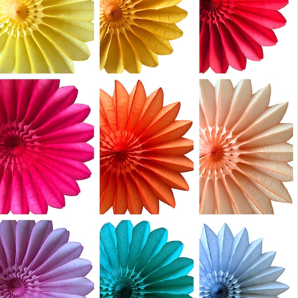 Wall Fan Large Flower - Etsy UK