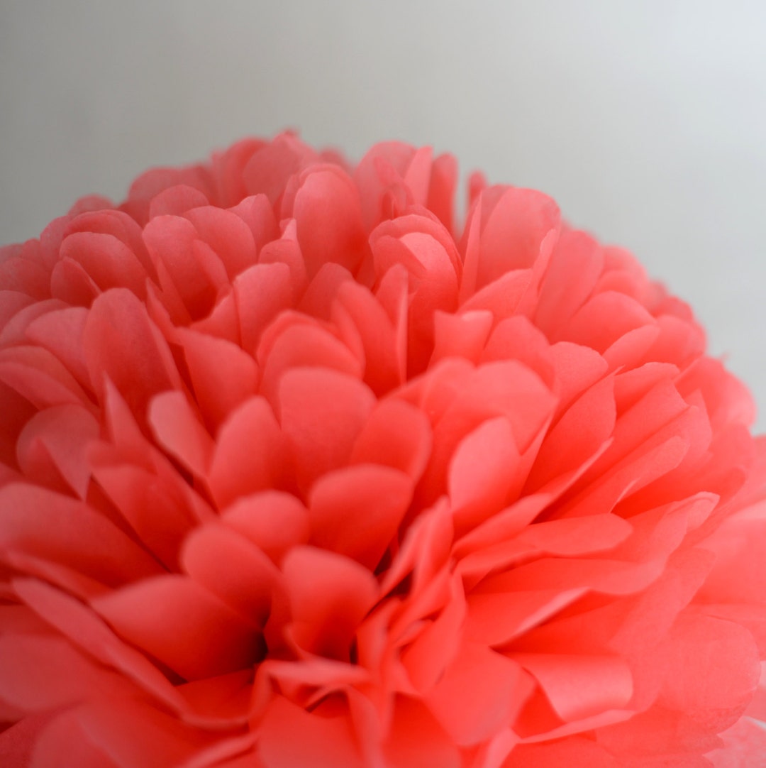 Coral Rose Paper Pom Pom Party Decorations Living Coral Wedding Decor ...
