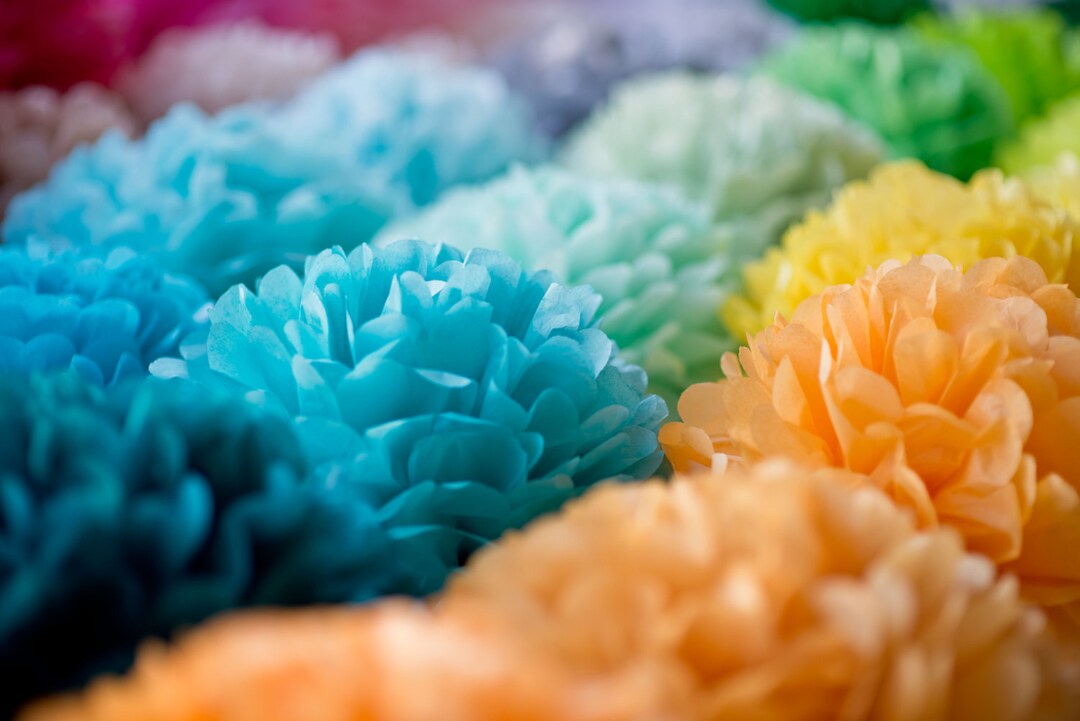 Custom Colour Fluffiest Paper Poms Set of 12 | Tissue Paper Pom Pom Set ...