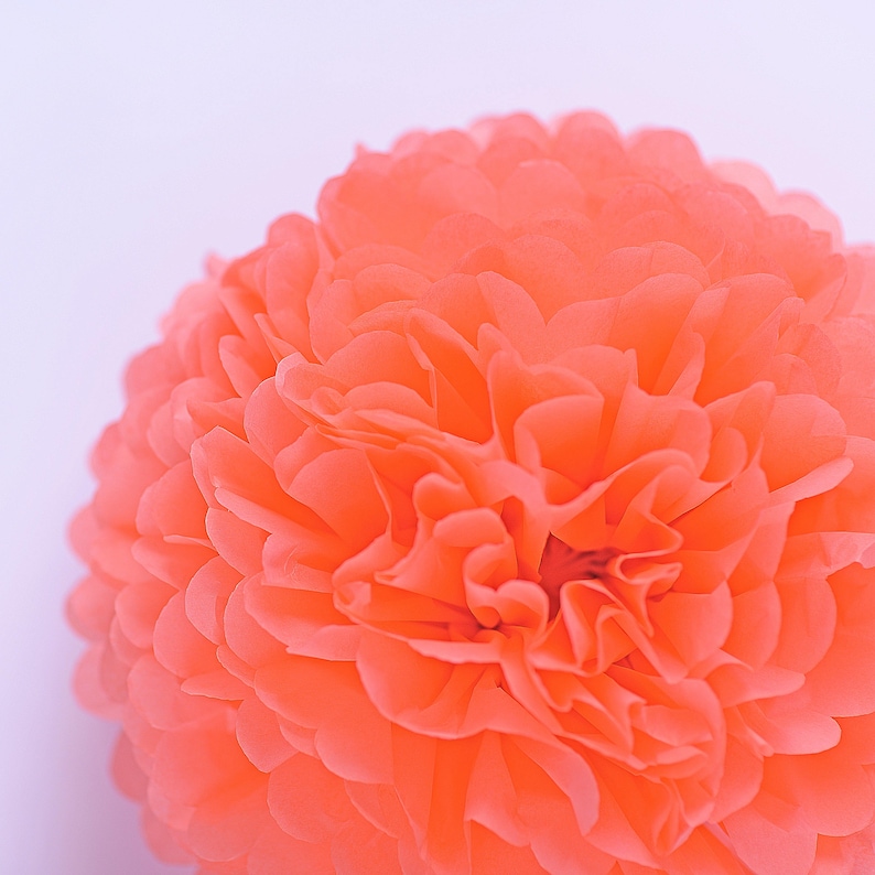 Coral Paper Pom Pom Living Coral Decor Paper Flowers - Etsy
