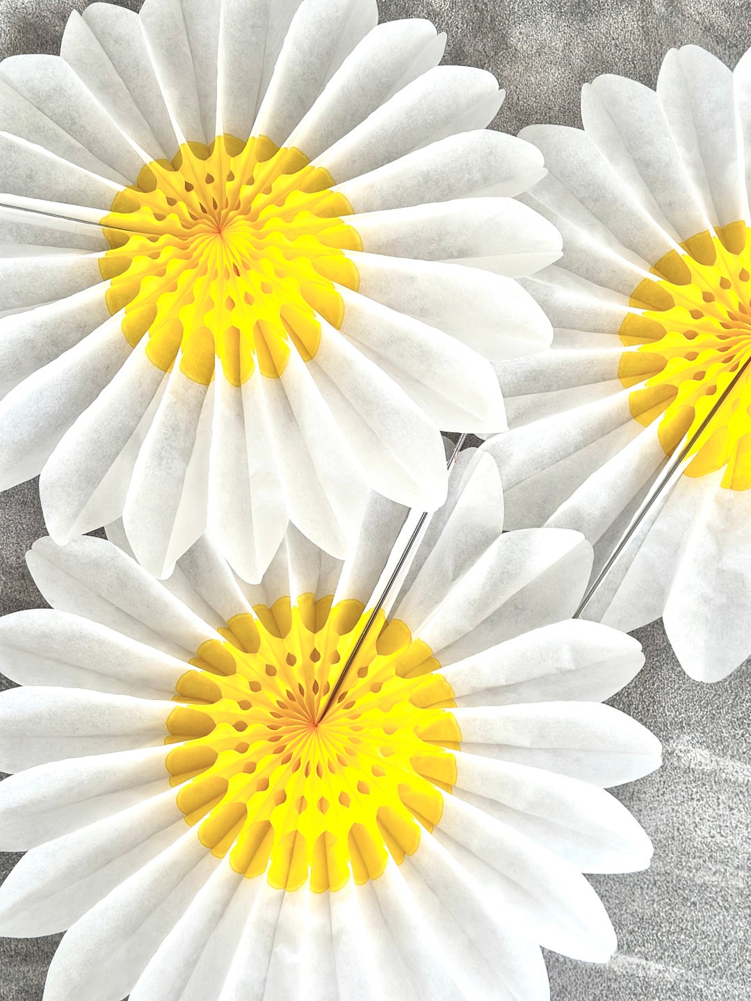 Paper Daisy Fan Set: White & Yellow Party Decorations - Etsy