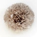 Paper Pom Pom Set of 16 | Blush, Neutral and Pale Mint Tissue Paper Pom ...