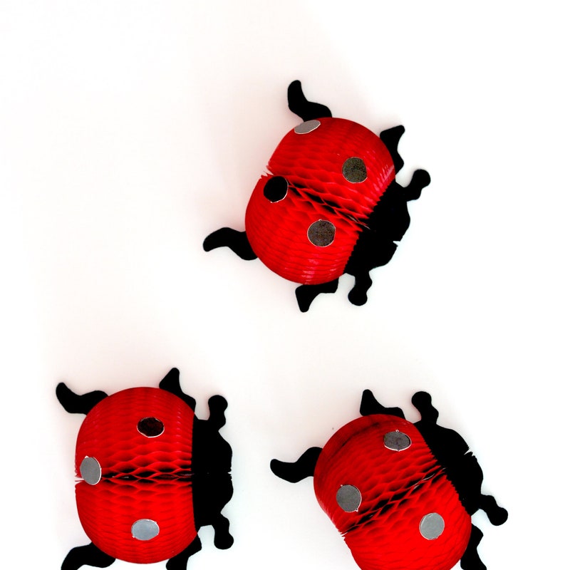 Ladybug Decorations - Etsy