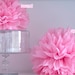 Paper Pom Pom Set of 16 | Blush, Neutral and Pale Mint Tissue Paper Pom ...