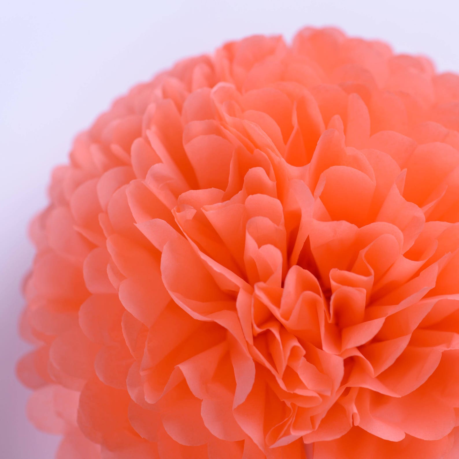 Coral Paper Pom Pom Living Coral Decor Paper Flowers | Etsy