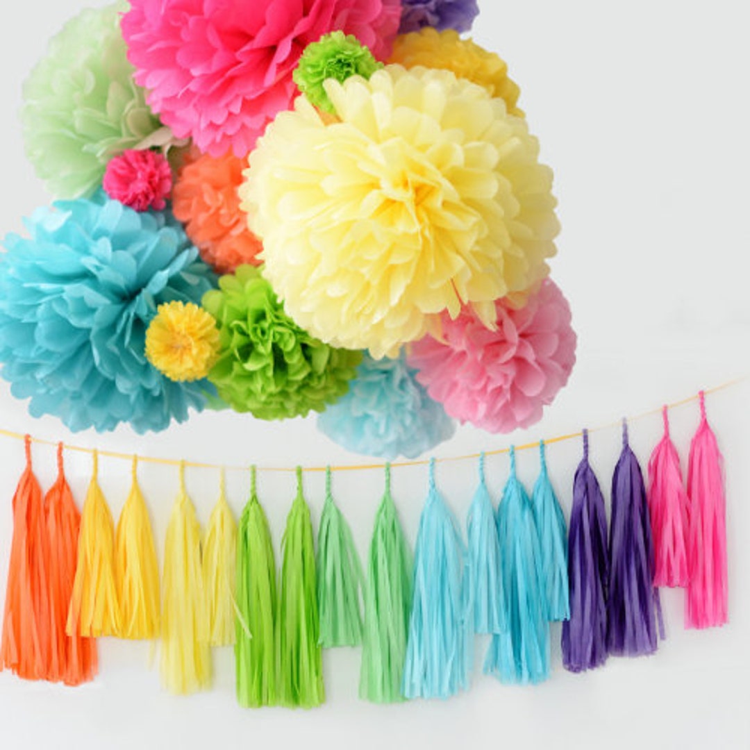 Rainbow Party Decor Paper Pom Poms, Tassel Garland, Confetti, Balloon ...