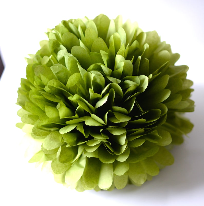 Paper Party Decor Set – Pompoms, Honeycombs, Garland & Confetti in ...