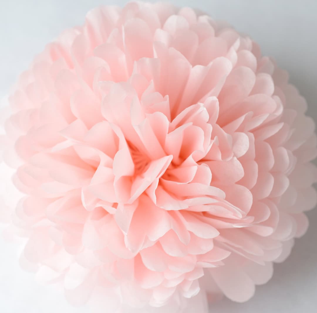 Light Pink Paper Pom Pom Party Decorations Pastel Pink Paper Flowers ...