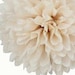 Paper Pom Pom Set of 16 | Blush, Neutral and Pale Mint Tissue Paper Pom ...
