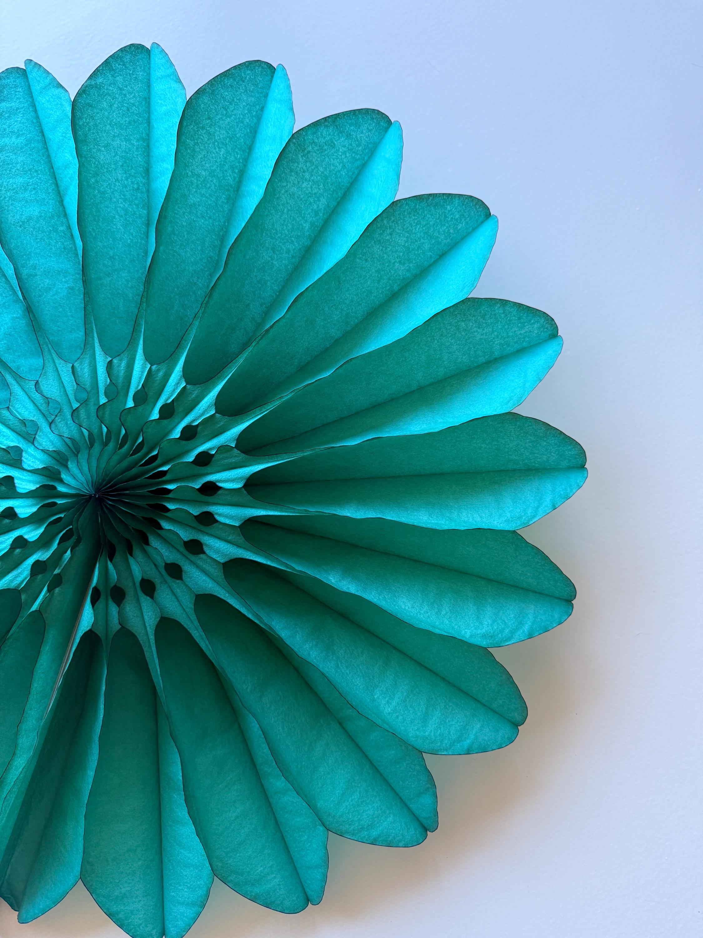 Large Paper Fans: 26