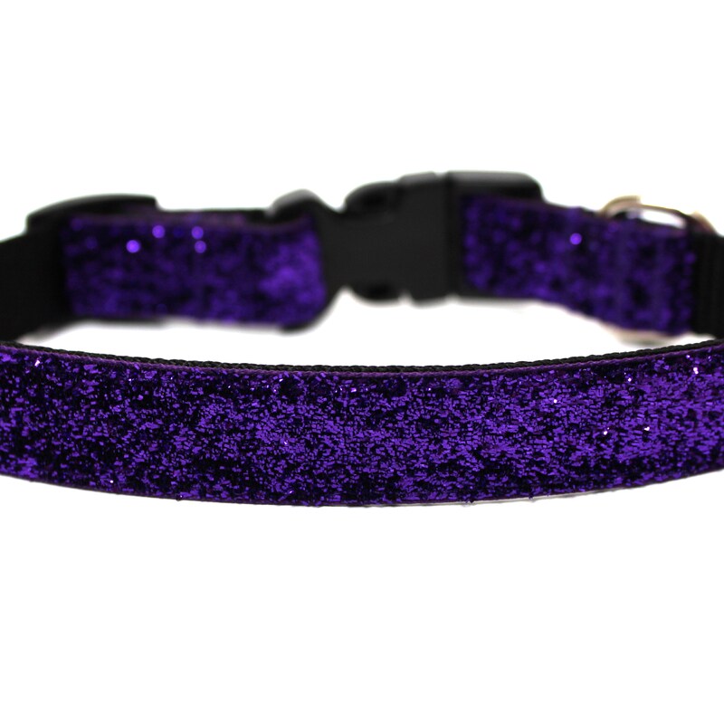 Purple Dog Collar - Etsy