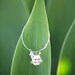 Dog Mom Bracelet Dog Charm Bracelet Custom Dog Bracelet - Etsy
