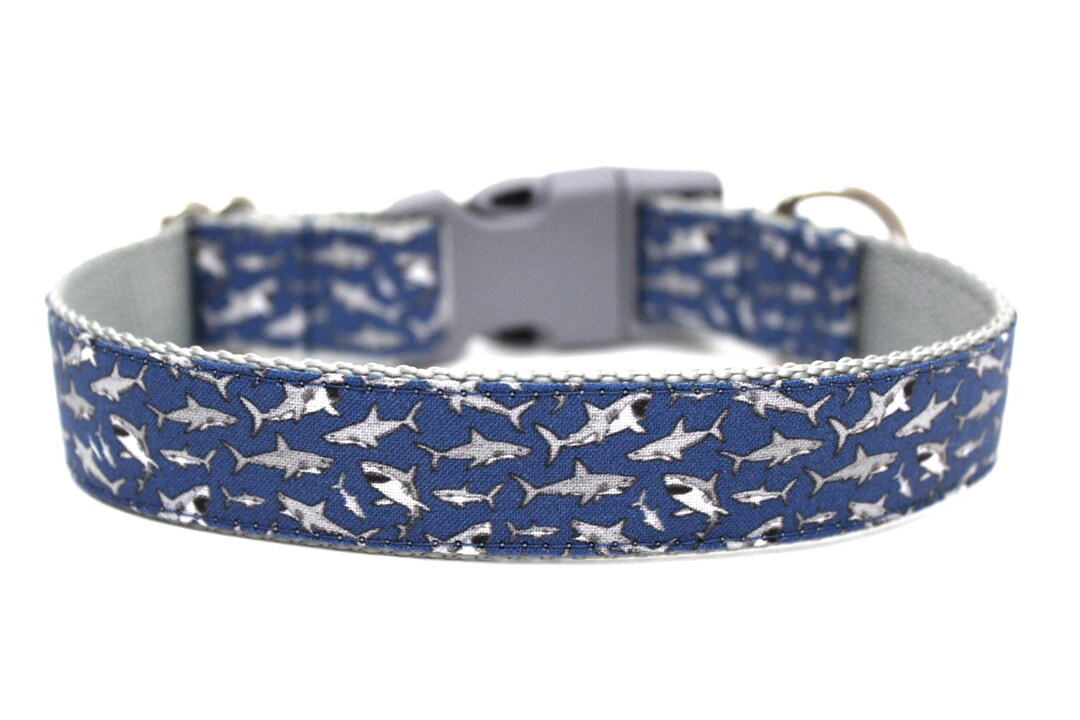 Shark Dog Collar 3/4" or 1" Boy Dog Collar - Etsy