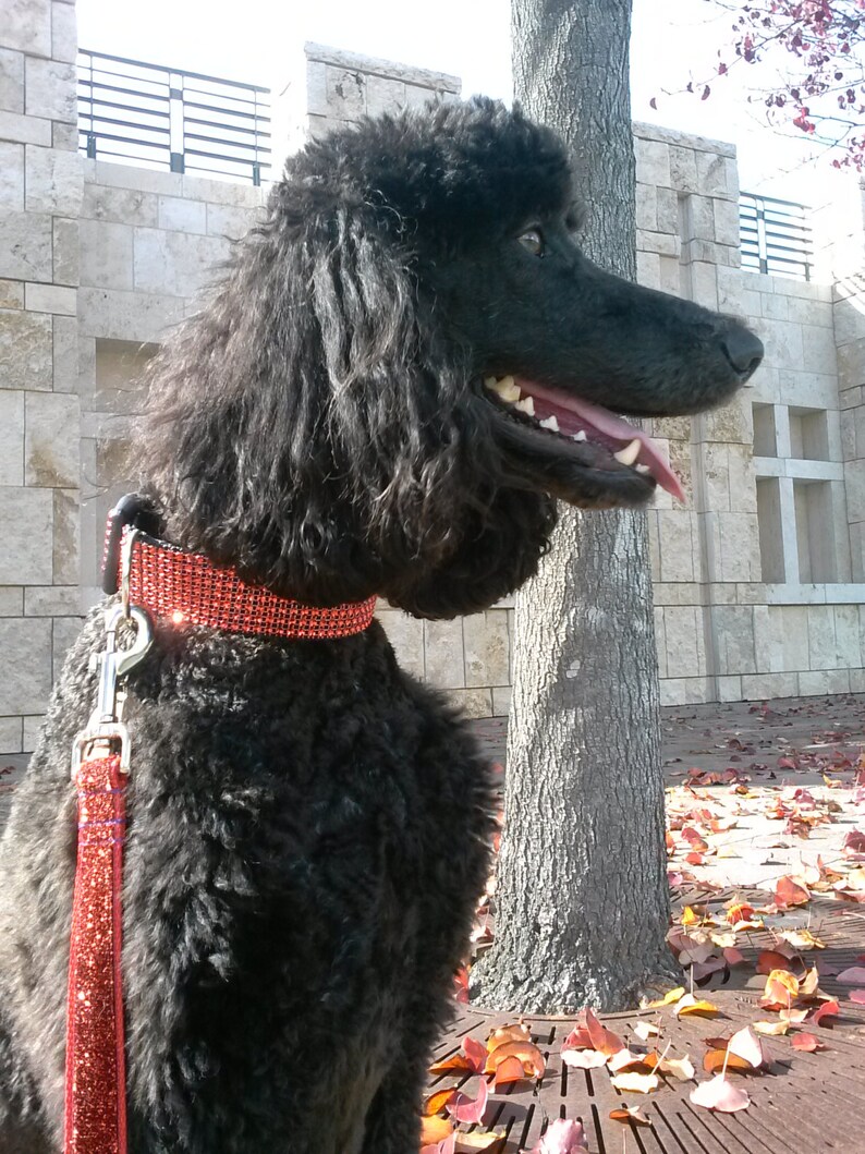 Rhinestone Dog Collar 1.5 Red Dog Collar | Etsy
