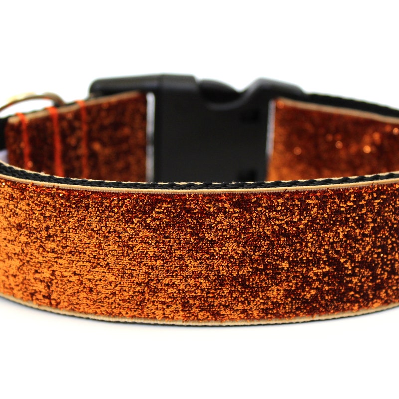 Orange Dog Collar - Etsy